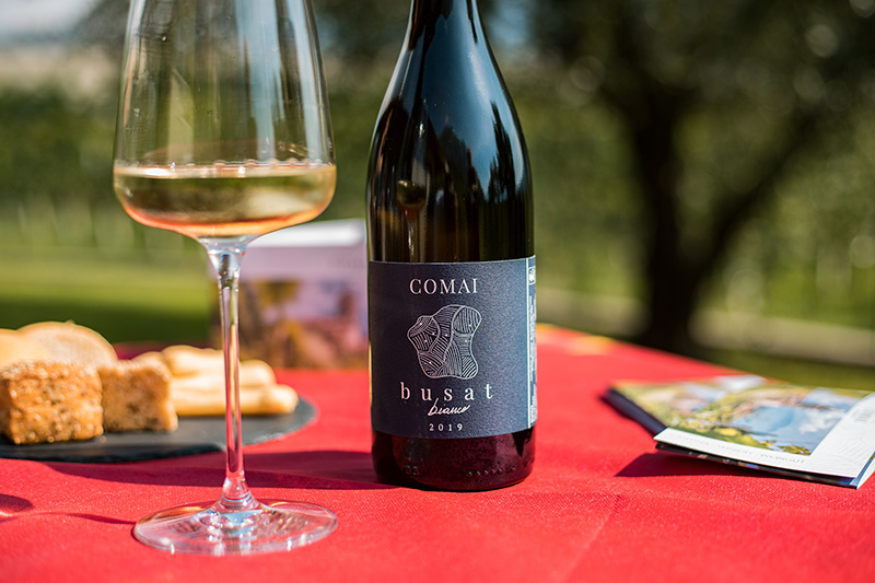 Degustazioni | Agritur Comai - Riva del Garda - Trentino - Lago di Garda